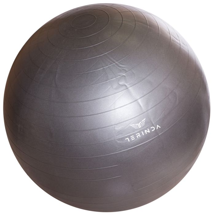Terinda YOGA BALL, lopta za gimnastiku, siva | Intersport